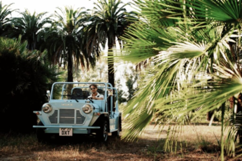 The Beach Activities Enthusiast's Ultimate Guide to Renting Beach Golf ...
